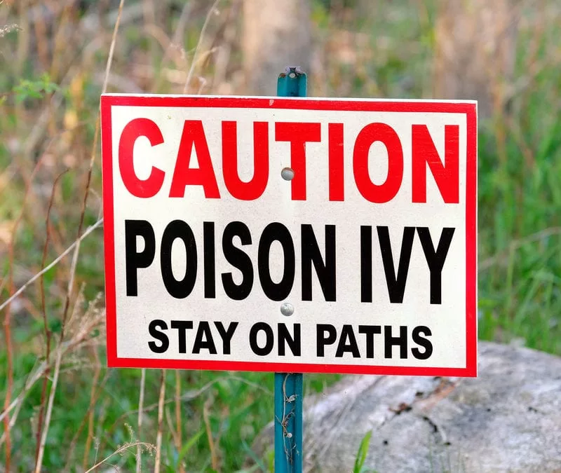 Poisonous Plants To Avoid in Georgia - Environmental Turf Management